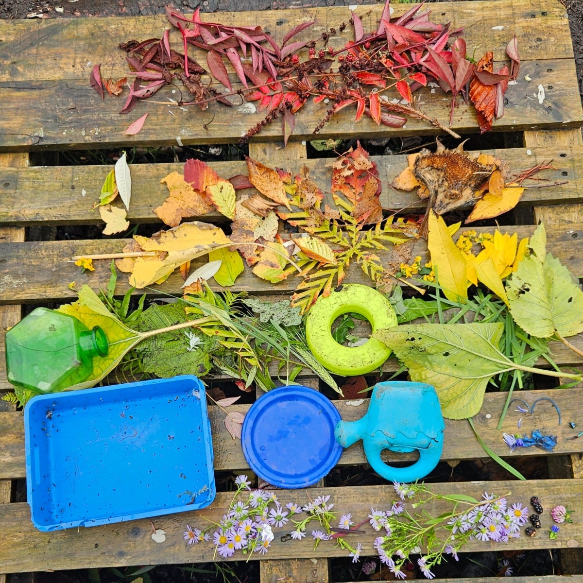 Co-op Academy New Islington - 5CH Autumn Update
